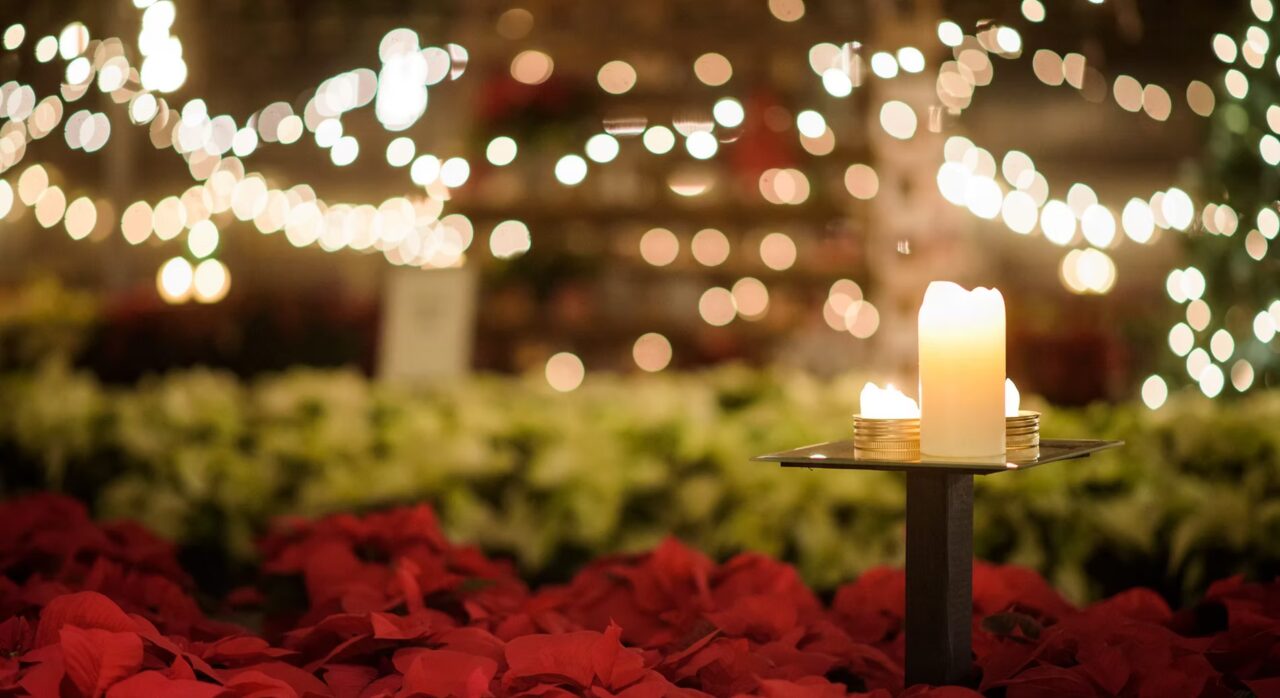 Poinsettia Festival, Candlelight Evenings - Huron Ridge Greenhouses ...